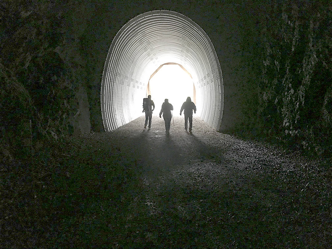 13577118_web1_copy_tunnel-toned | Forks Forum